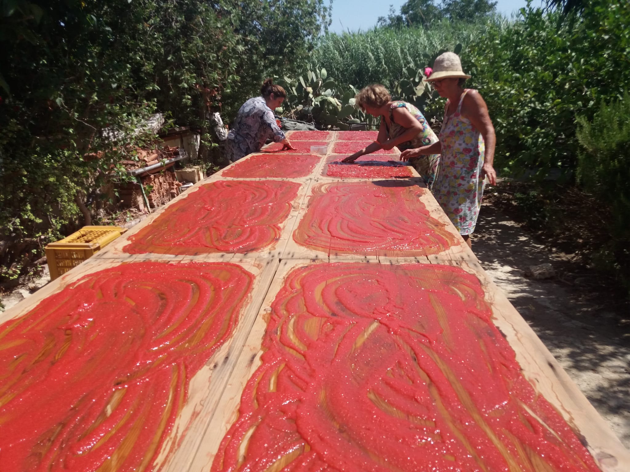 L’estratto di pomodoro – NULLA DIES SINE LINEA